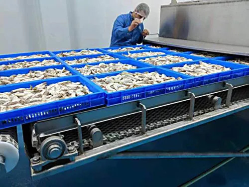 Packaged Brine Tunnel Freezer compact , efficient system Advanced ...